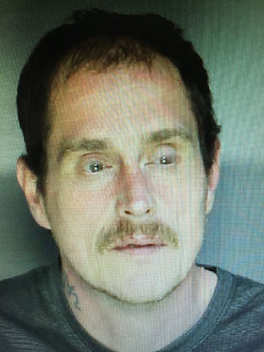 56 marijuana plants seized in Uniontown - Herald-Standard